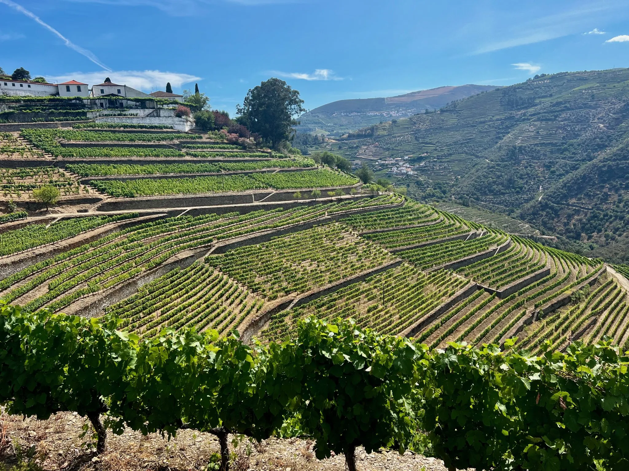 Where To Have A Picnic In The Douro Valley All Wine Tours where-to-have-a-picnic-in-the-douro-valley-all-wine-tours